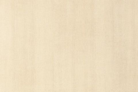 CCX 47202X 銀杏楓木 純透芯系列 Ginko Maple Wood