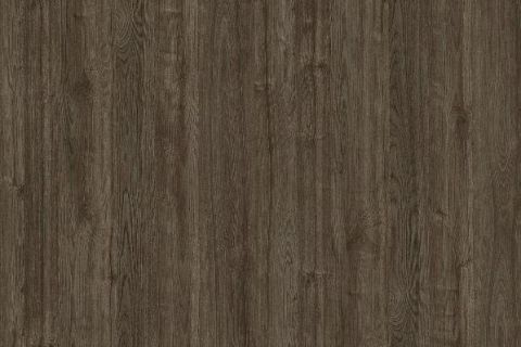 WY 1260D 奇克榆木 Chico Nevada Elm