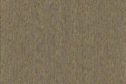 WYA 5268E 斑比娜橡木 Bambina Oak Giovanni